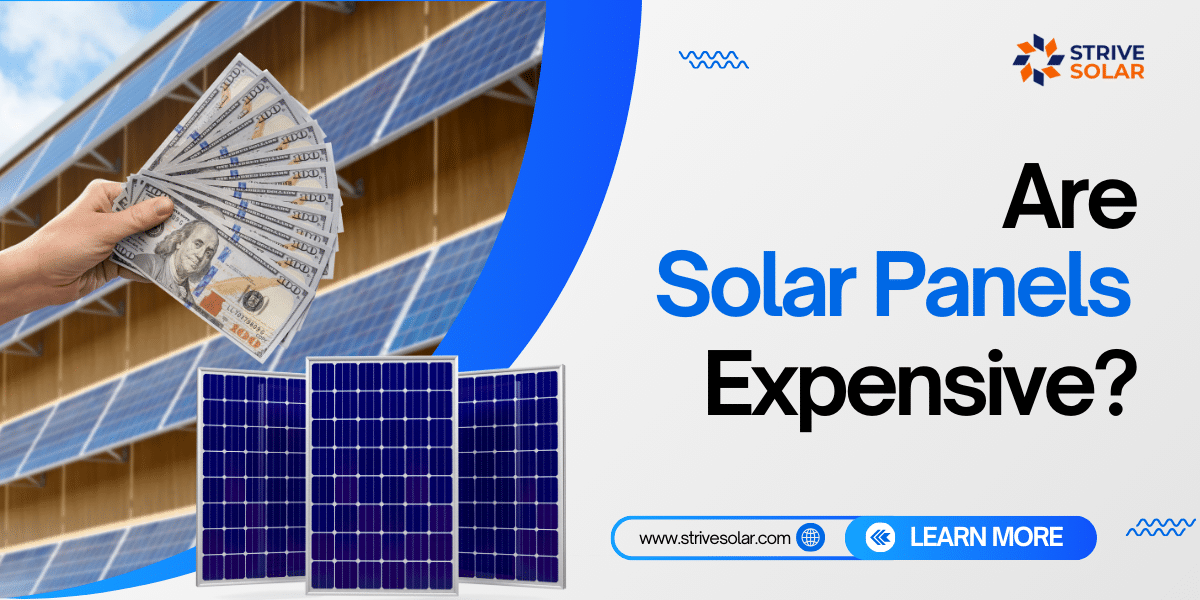 Are Solar Panels Expensive? - Strive Solar